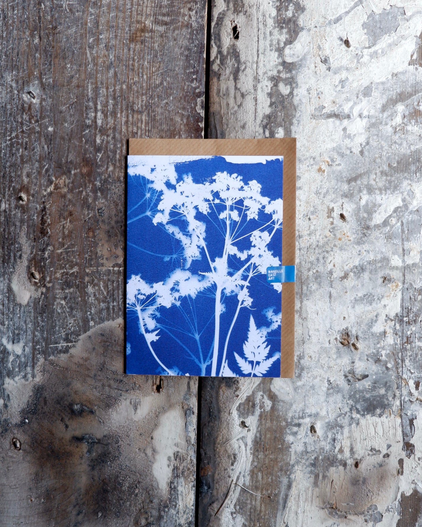 Danielle East | Cyanotype Cards Danielle East – MAKE HOLT